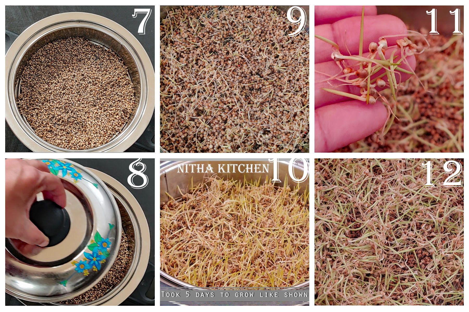 Homegrown Pearl Millet Sprouts Salad - Nitha Kitchen